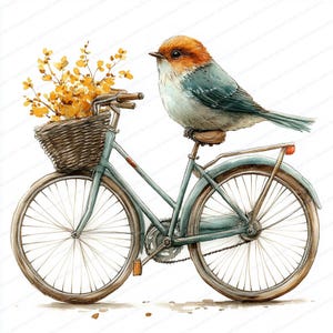 15 Bird on Bicycle Handlebar Clipart | Whimsical Animal Ride ...