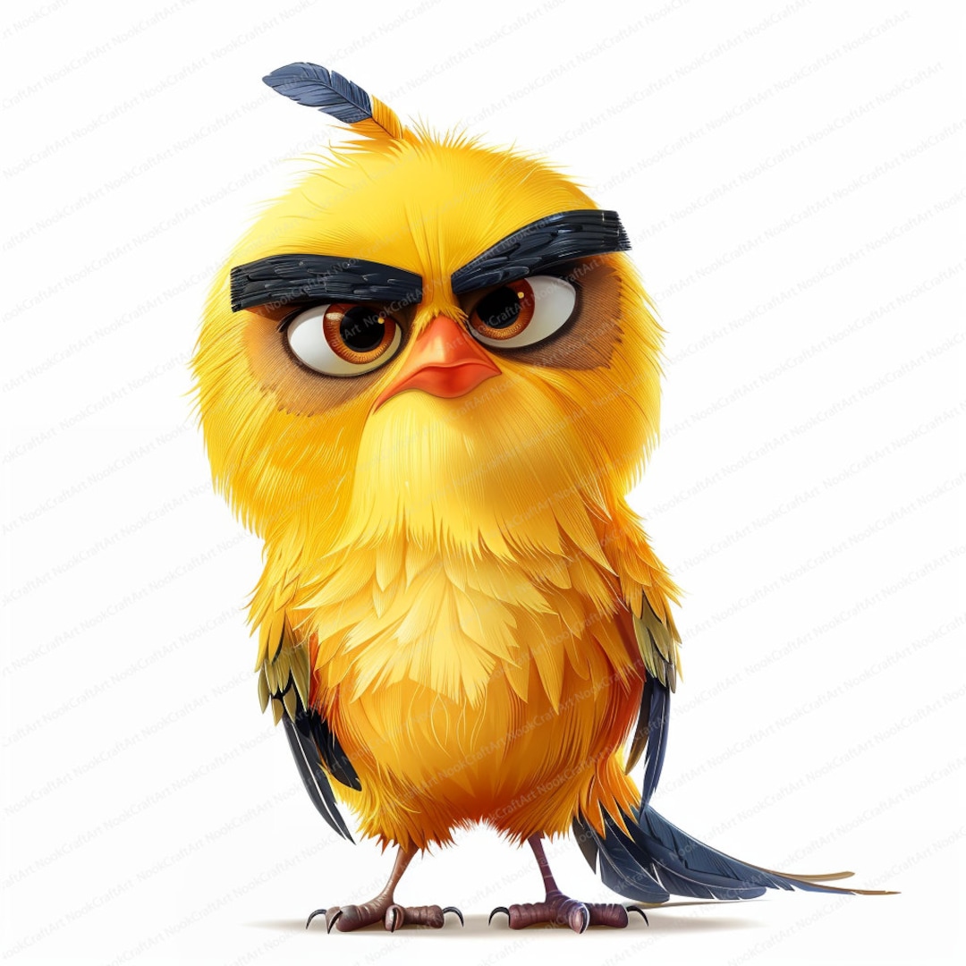 12 Grumpy Birds Clipart | Cute Fluffy Birds | Digital Clipart | High ...