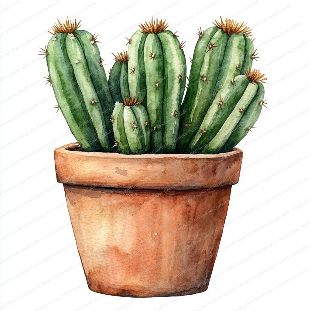 22 Cactus Plant Clipart Collection | Potted Succulent Art Set ...