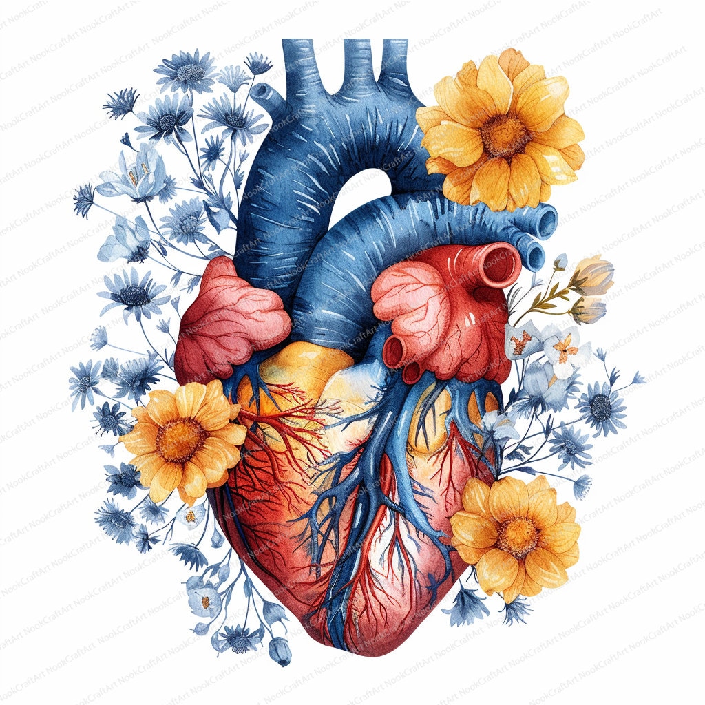 14 Floral Human Heart Clipart Anatomical Heart Printable Watercolor ...