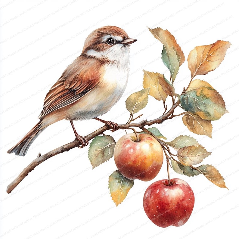 20 Bird on Branch With Apples Clipart | Nature Art Illustration ...