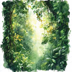 20 Jungle Vine Clipart | Tropical Digital Illustration Set| Printable ...