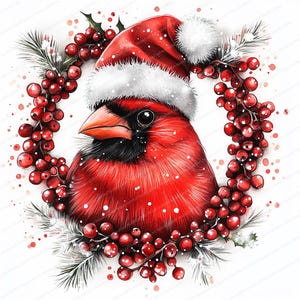 15 Christmas Cardinal Clipart | High-quality Jpgs | Winter Animals Art ...