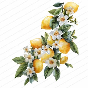 12 Lemon Garland Clipart | Lemon Wreath | Printable Watercolor Clipart ...