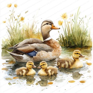 19 Duck Pond Clipart | Farm Ducks With Goslings Art | Printable ...