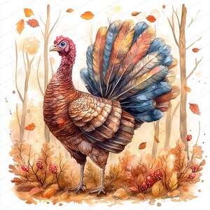 21 Colorful Turkey Feather Clipart | Thanksgiving Holiday Design Asset ...