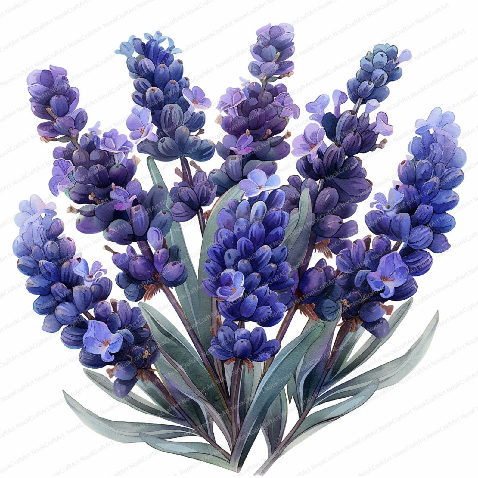 16 Lavender Plant Clipart Bundle Lavender Flower Printable Clipart High ...