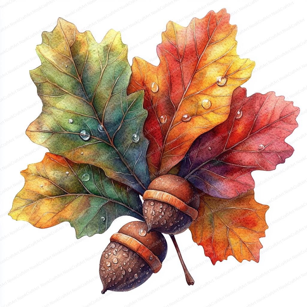24 Oak Leaves and Acorns Clipart | Nature-inspired Autumn Graphics ...