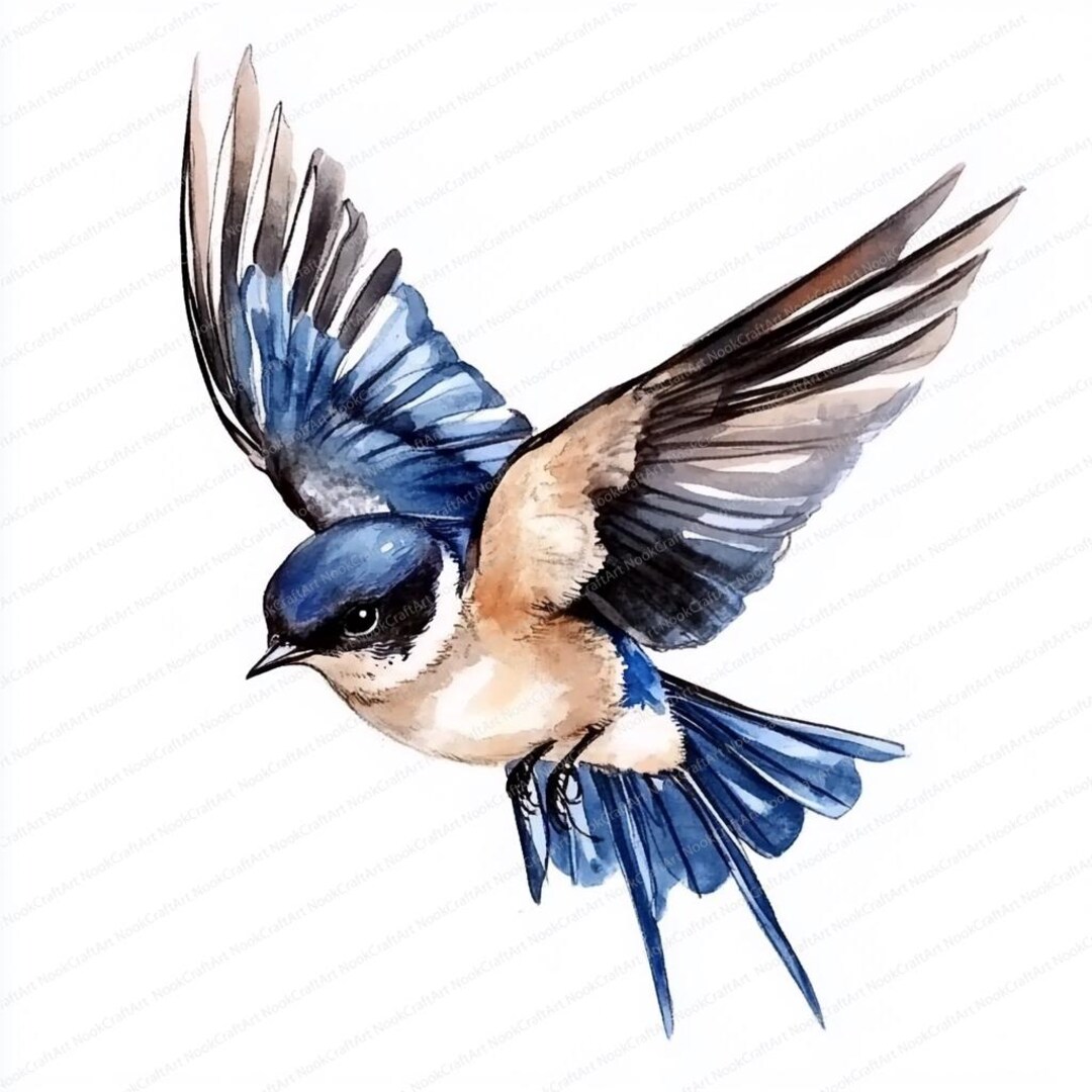 20 Swallow Bird Clipart | Watercolor Designs | Printable Art | High ...