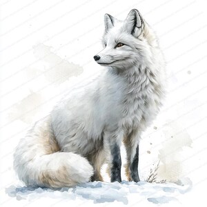 17 Arctic Fox Clipart Set | Winter Wildlife Illustration Pack ...