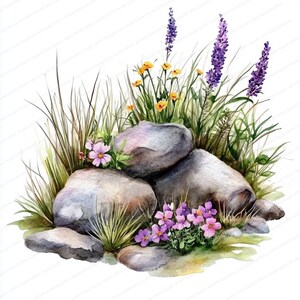14 Wildflowers and Stones Clipart | Blooming Floral Clipart | Printable ...