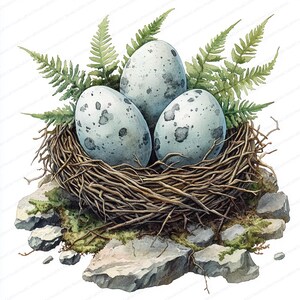 20 Dinosaur Egg Nest Clipart | Prehistoric Nesting Illustration ...