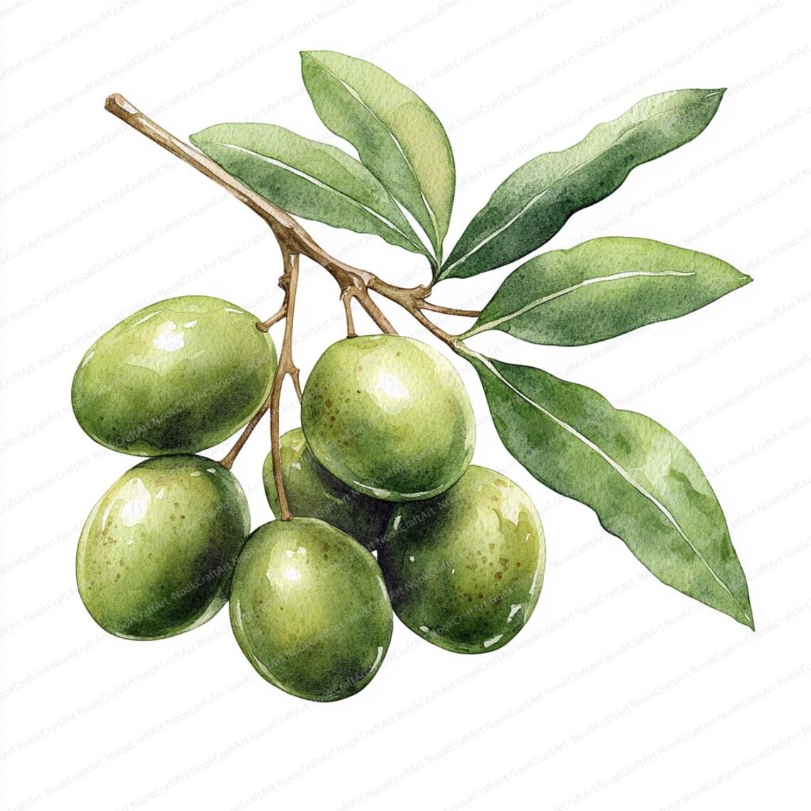 24 Olive Branch Clipart | Green Olives Illustration Pack | Printable ...