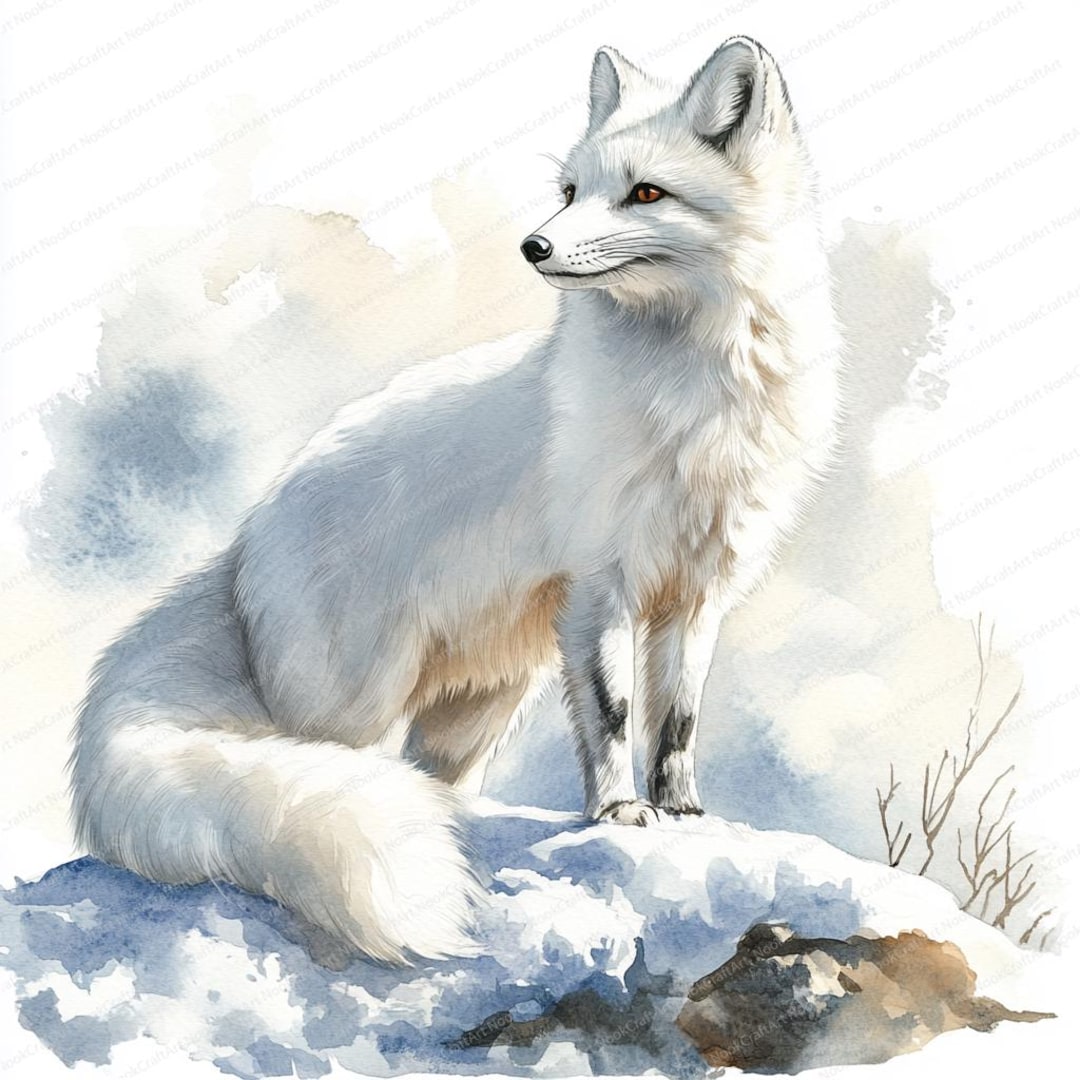 17 Arctic Fox Clipart Set | Winter Wildlife Illustration Pack ...