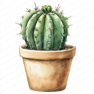 22 Cactus Plant Clipart Collection | Potted Succulent Art Set ...