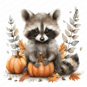12 Cute Fall Raccoons Clipart | Watercolor Autumn Raccoon | High ...
