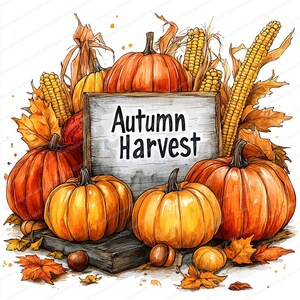 21 Pumpkin Harvest Clipart | Fall Seasonal Pumpkin Art | Printable ...