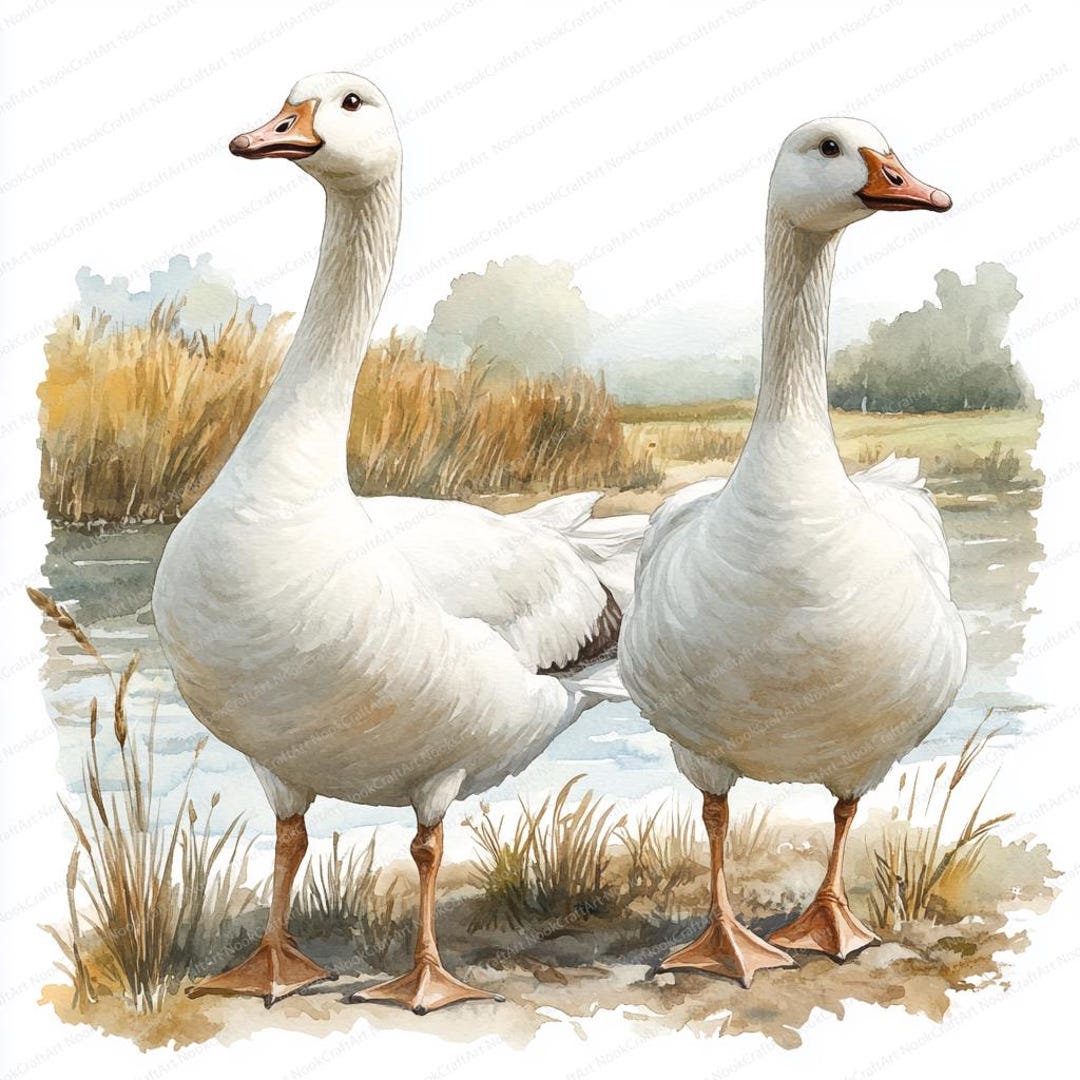 19 Farmyard Goose Clipart | Countryside Background Illustration ...