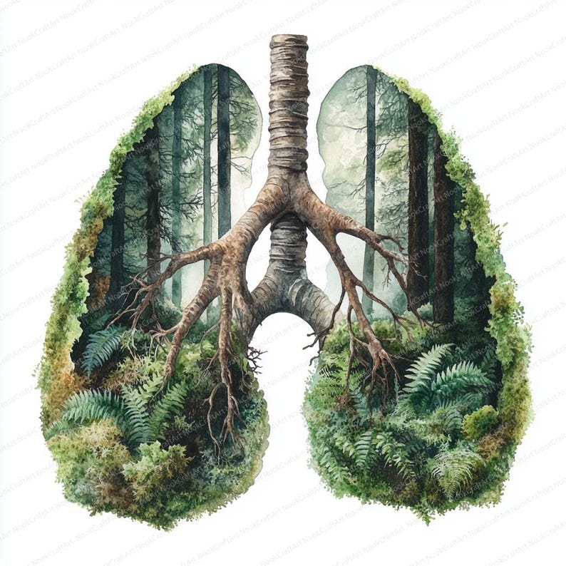 24 Forest Lungs Clipart | Enchanted Nature Illustration | Printable ...