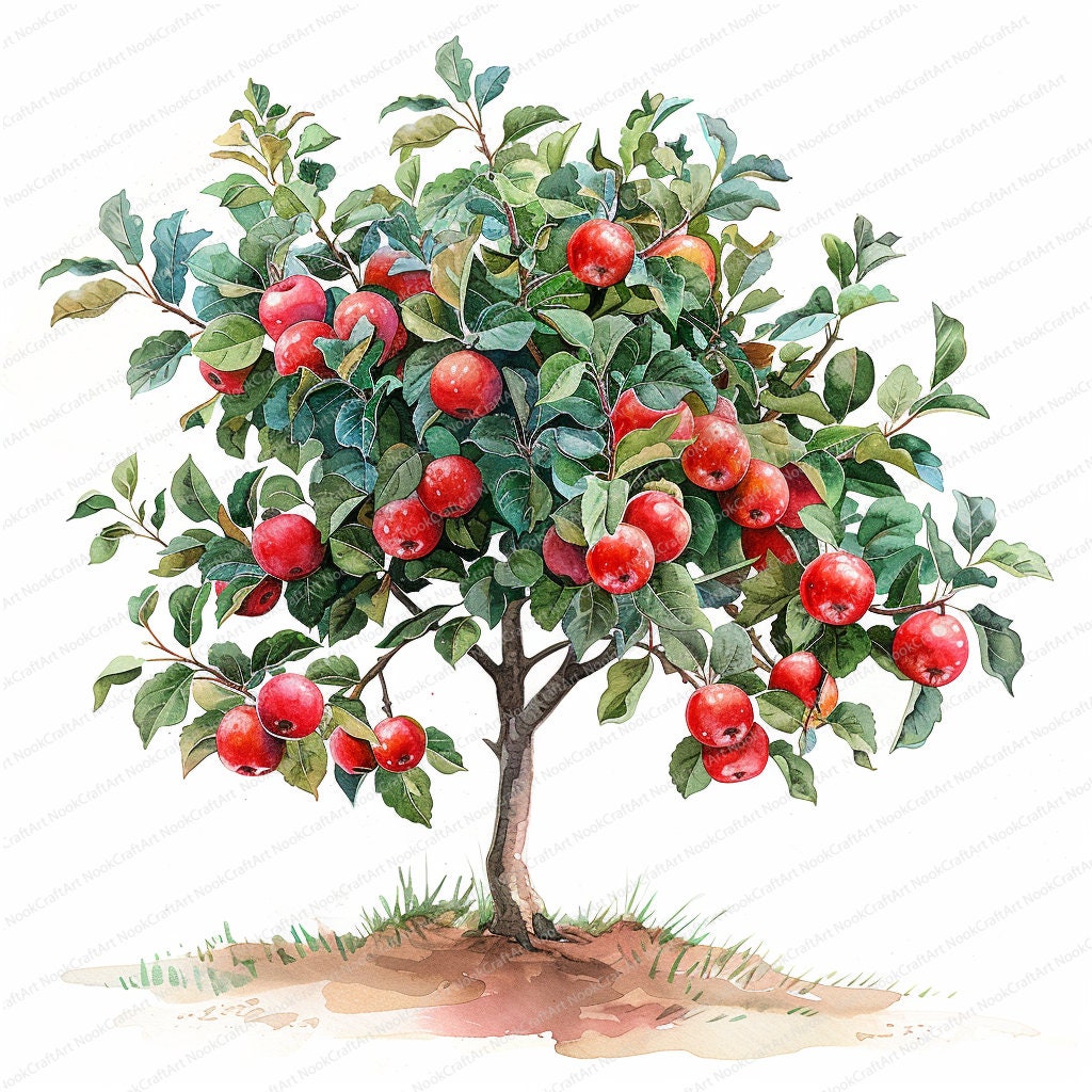 12 Apple Trees Clipart Apple Tree Printable Watercolor Clipart High ...