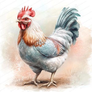 Pastel Chicken Clipart Bundle | 14 High Quality Jpgs | Printable ...