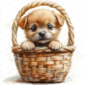 22 Puppy in Basket Clipart | Adorable Pet Illustration Design ...