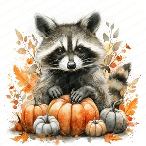 12 Cute Fall Raccoons Clipart | Watercolor Autumn Raccoon | High ...