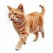 Ginger Cats Clipart | 20 High Quality Jpgs | Nursery Art | Digital ...