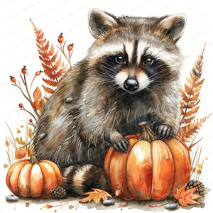 12 Cute Fall Raccoons Clipart | Watercolor Autumn Raccoon | High ...