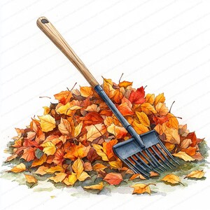 20 Autumn Leaves Rake Clipart | Fall Yard Cleanup Illustration ...