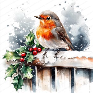 16 Cute Christmas Robins Clipart | Printable Watercolor Clipart | High ...