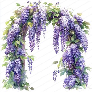 21 Wisteria Flower Clipart | Purple Blossoms Art Pack | Printable ...