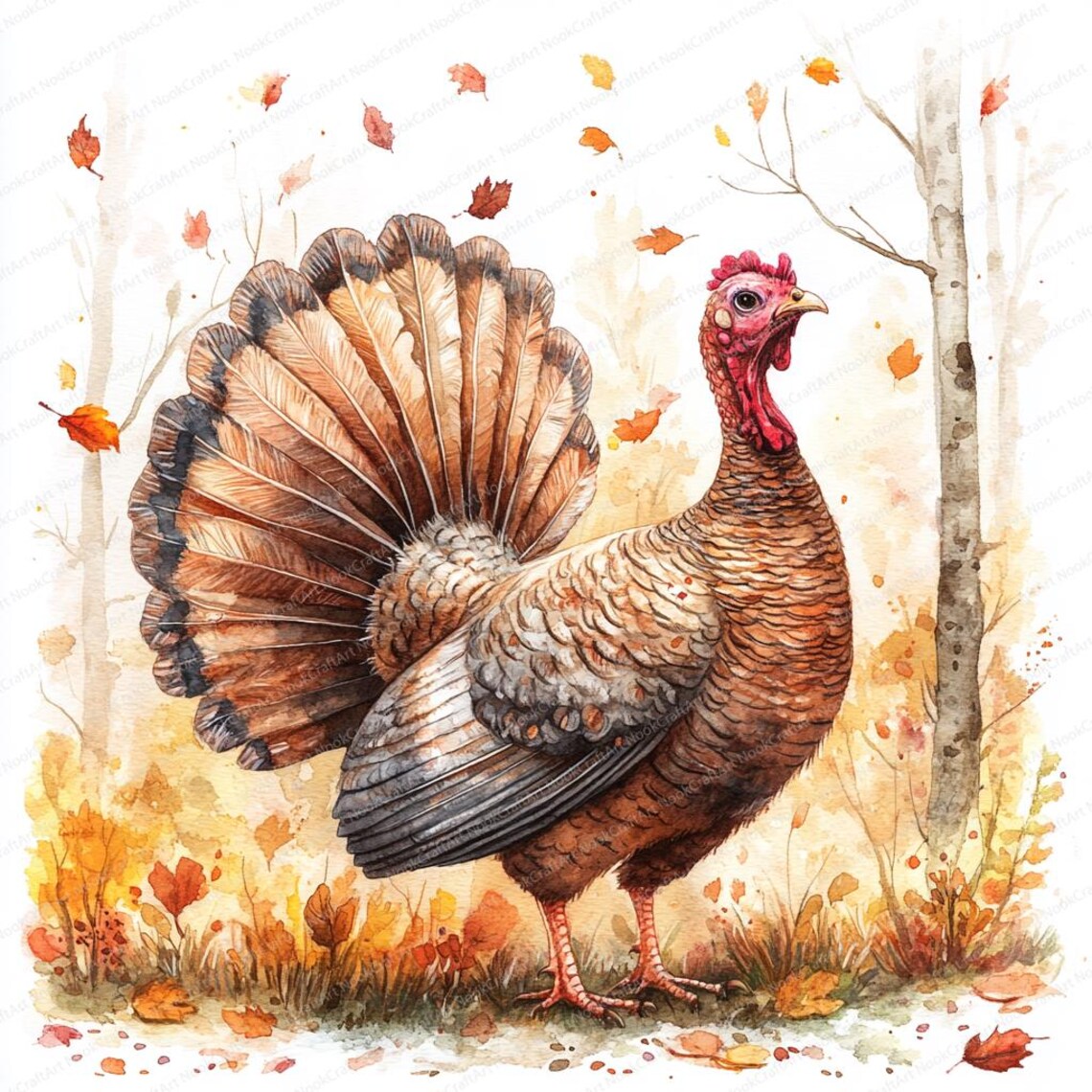 21 Colorful Turkey Feather Clipart | Thanksgiving Holiday Design Asset ...