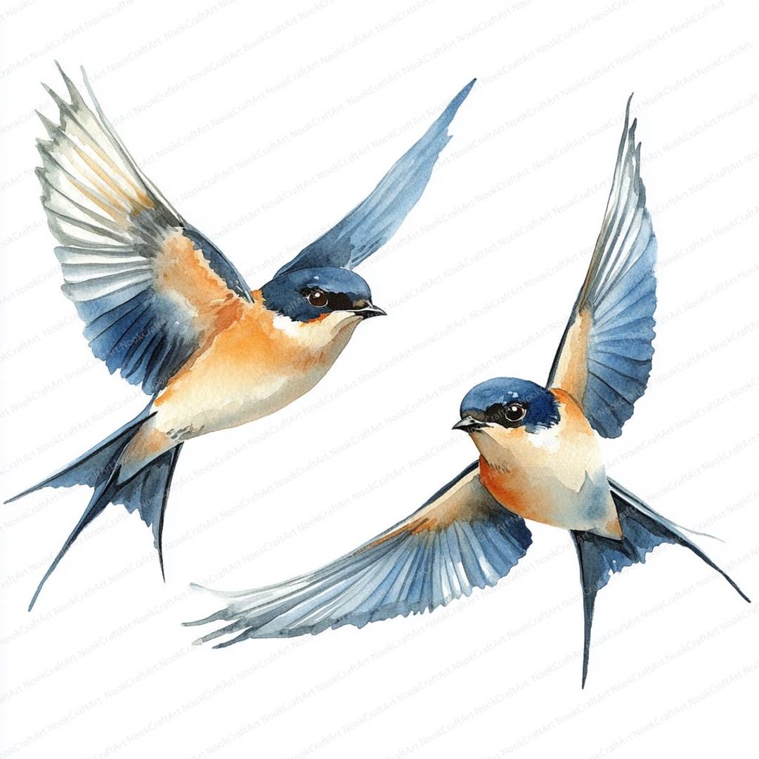 18 Swallow Pair Clipart | Romantic Bird Illustration Duo | Printable ...
