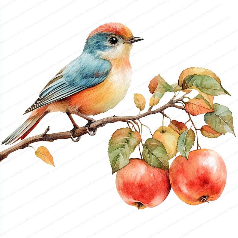 20 Bird on Branch With Apples Clipart | Nature Art Illustration ...