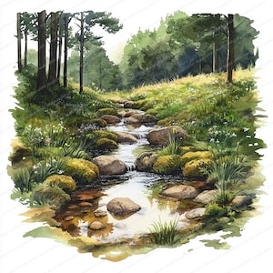 20 Spring Stream Clipart Among Mosses | Nature-inspired Digital ...