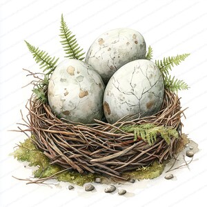 20 Dinosaur Egg Nest Clipart | Prehistoric Nesting Illustration ...