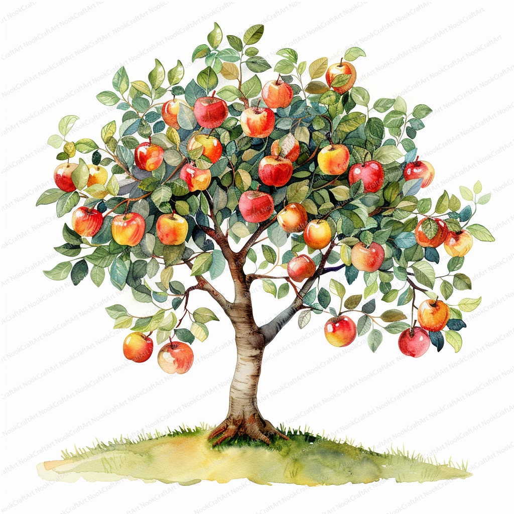 12 Apple Trees Clipart Apple Tree Printable Watercolor Clipart High ...