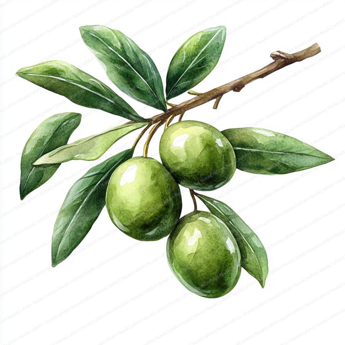 24 Olive Branch Clipart | Green Olives Illustration Pack | Printable ...