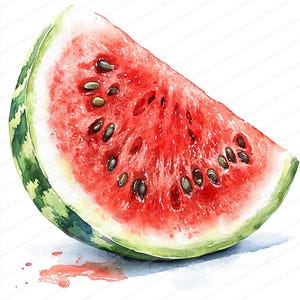 18 Watermelon Slice Clipart With Seeds | Summer Fruit Illustration ...