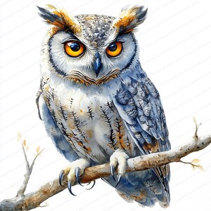 19 Wise Owl Clipart Collection | Enchanting Woodland Graphics ...