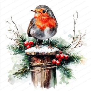 16 Cute Christmas Robins Clipart | Printable Watercolor Clipart | High ...