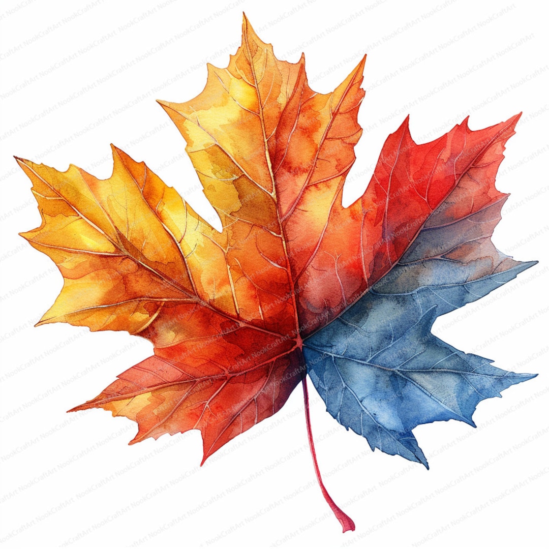 12 Maple Leaf Clipart | Elegant Maple Leaf Clipart Bundle | High ...