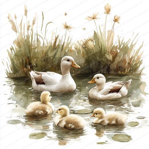 19 Duck Pond Clipart | Farm Ducks With Goslings Art | Printable ...