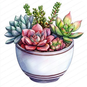 20 Potted Succulents Clipart | Succulent Pots | Printable Watercolor ...
