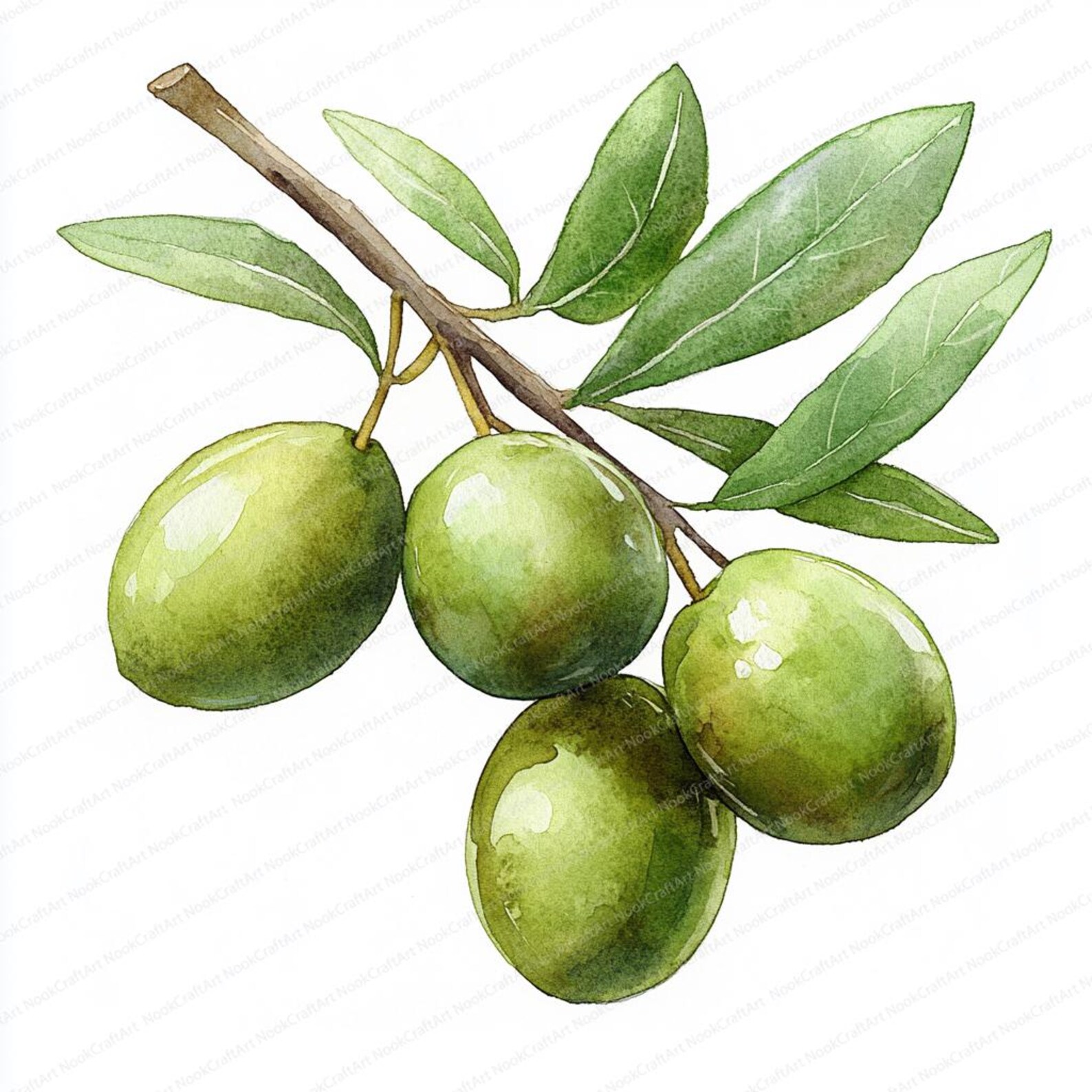 24 Olive Branch Clipart | Green Olives Illustration Pack | Printable ...