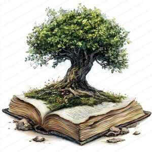 23 Tree Growing From Book Clipart | Enchanted Library Illustration ...