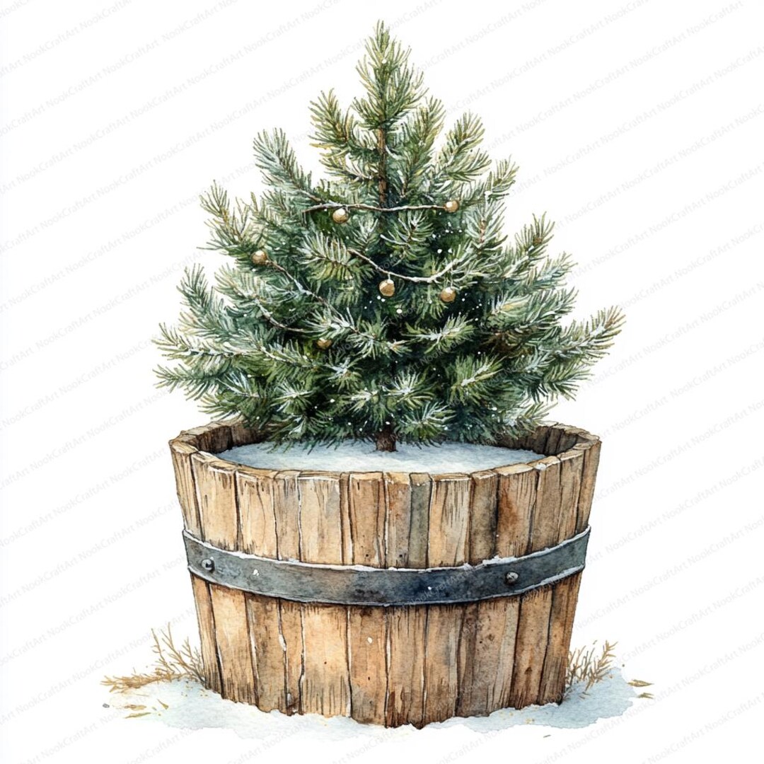24 Pine Tree Clipart in Wooden Tub | Rustic Evergreen Illustration ...