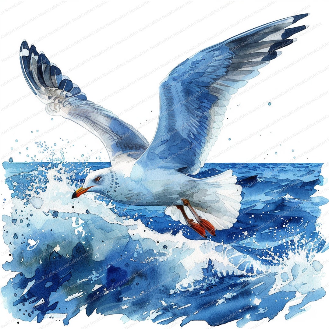 12 Seagull Clipart Marine Gull Clipart Pack Printable Watercolor ...