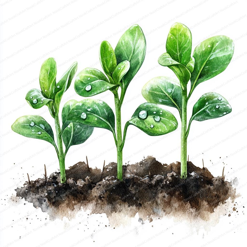 20 Green Shoots Clipart | Nature's Renewal Digital Art | Printable ...